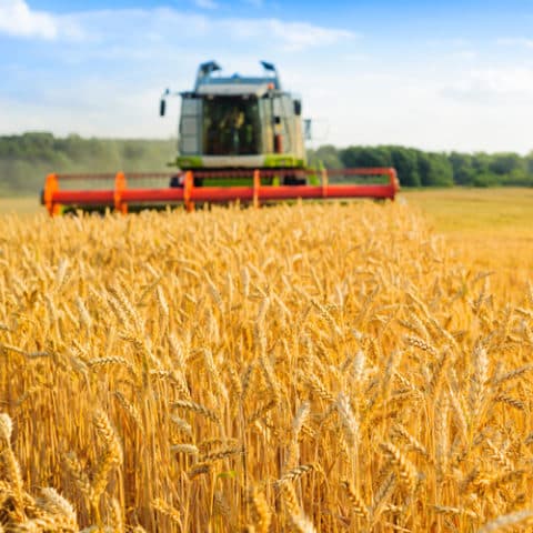 FEEDMASTER | Northern Feed Systems