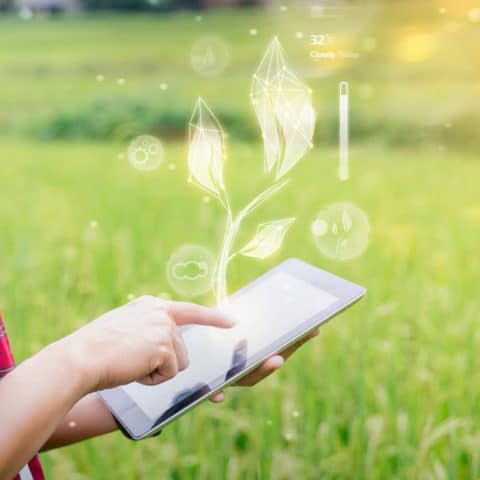 FEEDMASTER | Northern Feed Systems